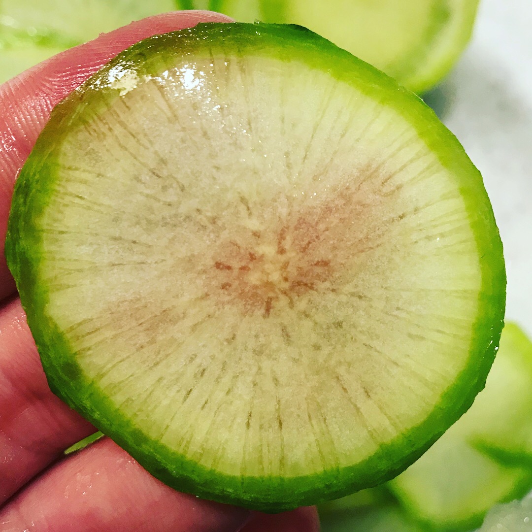 green meat radish Archives - PizzaGoon: Pizza Blog