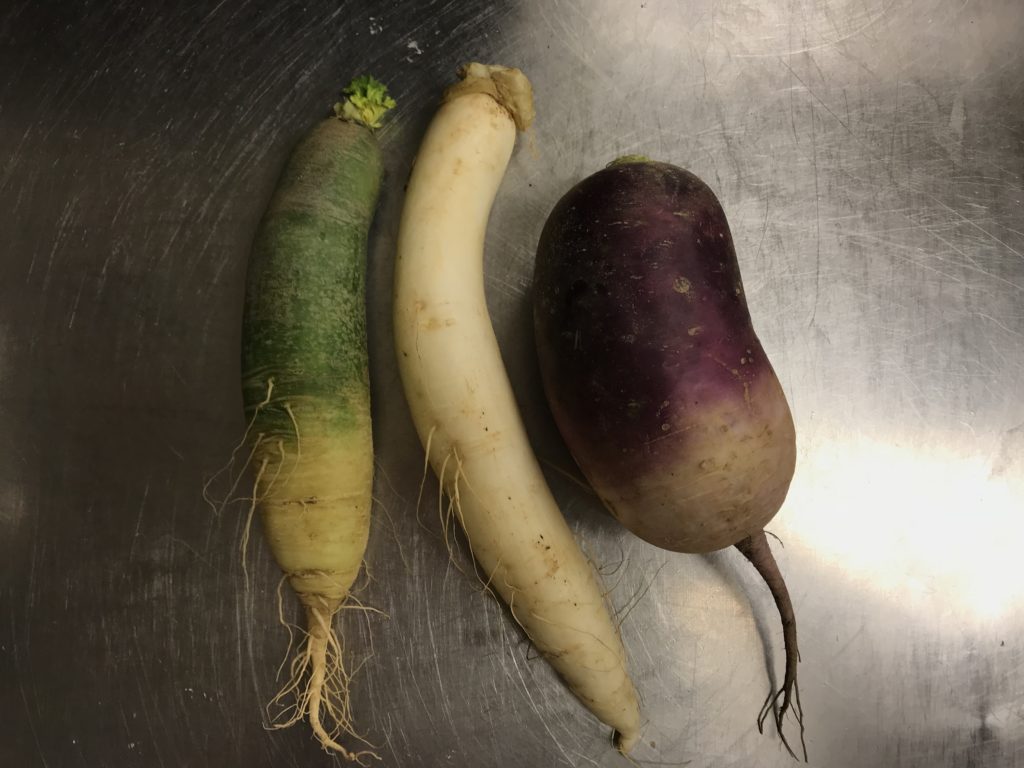 green meat radish Archives - PizzaGoon: Pizza Blog